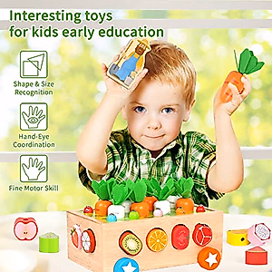 JUZBOT Montessori Toys Wooden Educational Learning Toys for 1 2 3 4 Year Old, Toddler Boy Girl Toy Gift Wood Preschool Fine Motor Skills Learning Games
