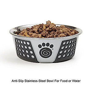 PetRageous 13098 Fiji Stainless Steel Non-Slip Dishwasher Safe Dog Bowl 3.75-Cup Capacity 6.75-inch Diameter 2.5-inch Tall for Medium and Large Dogs, Light Grey and Black
