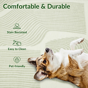 ODIKA Ultra Soft Area Rug 5x7, Non Slip, Stain Resistant Living Room Rug, Washable Area Rugs for Living Room, Rugs for Bedroom, Modern Abstracy Style (Beige, 5x7)