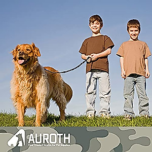 AUROTH Dog Leash Large Dogs, Heavy Duty Dog Leash Bungee, No Pull Dog Leash for Shock Absorption, Black Dog Training Leashes for Medium Large Breed Dogs 6FT, 2 Padded Handles