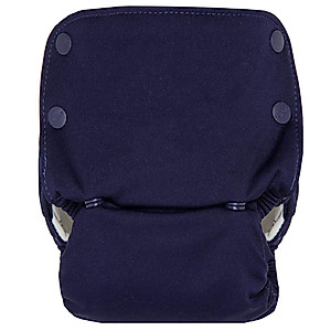 GroVia Organic All-in-One Cloth Diaper - Arctic