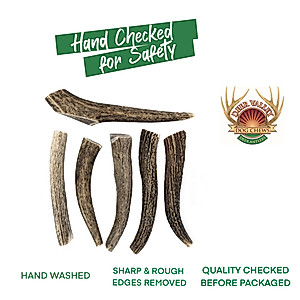 Deer Valley Chews Premium Deer Antler for Dogs - Medium 5-7 Inches Long, 3 Pack - All Natural Dental Treat for Teething and Chewing - Premium Grade, Naturally Shed