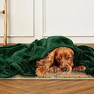 PAVILIA Fleece Blanket Throw | Super Soft, Plush, Luxury Flannel Throw | Lightweight Microfiber Blanket for Sofa Couch Bed (Emerald Green, 50x60 inches)