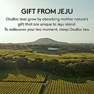 OSULLOC Premium Tea Collection Gift Set, Premium Organic Pure & Blended Tea from Jeju, Tea Bag Series 40 count, 8 flavors x 5 EA