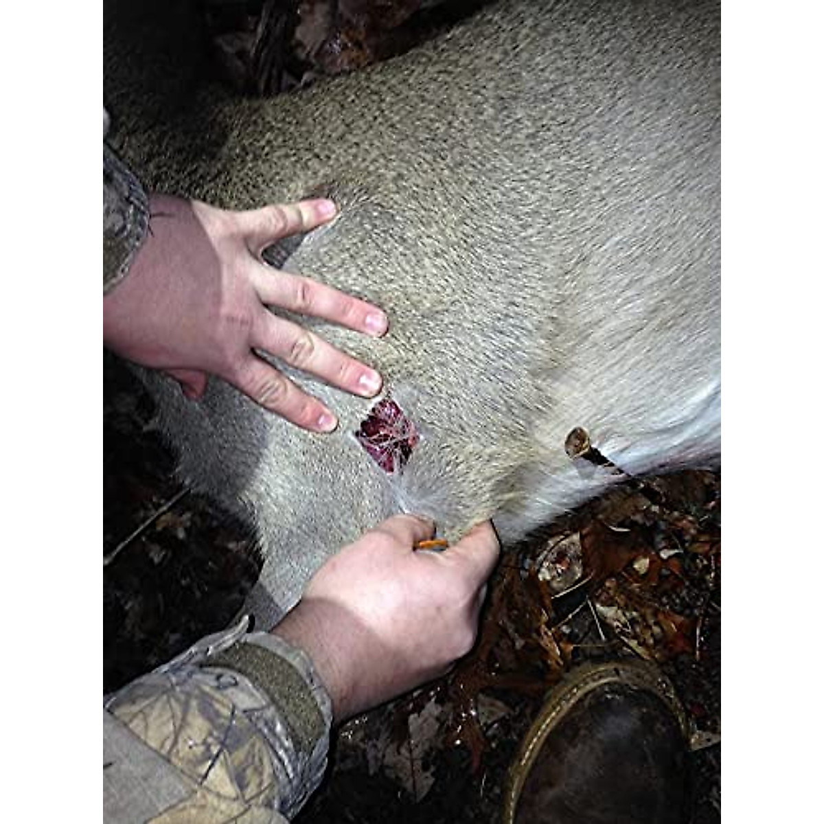 Fire-N-The-Hole Chisel Tip Ring Broadhead Compound Bow 100 Grain 3 Pack