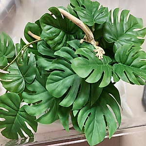 KERUIDENG Reptile Plants for Terrarium Decor,Amphibian Habitat Decor,Artificial Plants for Gecko Chameleon Snake Tortoise Tank Accessories with Base (Monstera deliciosa)