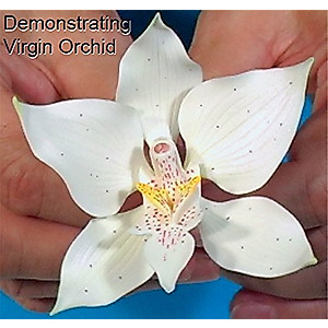 Virgin Orchid Cutter Set by WSA