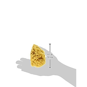 Natural Ocean Artist Sponges, 3 Silk/1 Jumbo, 4/pkg