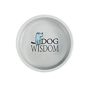 5-inch Ceramic Dog Bowl Cartoon Pattern, Cute, Chew-Proof, Dishwasher and Microwave Safe