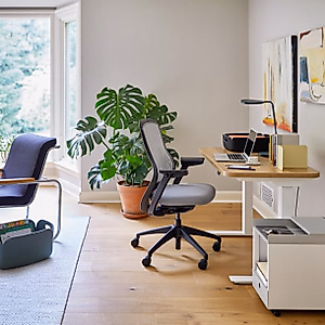 Knoll Regeneration Adjustable Ergonomic Office Desk Chair with Flex Back, Onyx/Pebble