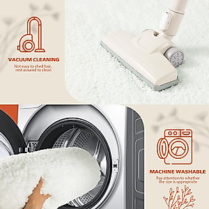 Latepis White Fluffy Rugs for Bedroom 24" x 35.5" Small Area Rug, Non-Slip Washable Throw Rugs, Non-Shedding Soft Furry Rug Indoor Door Mat Entrance for Home Door Entryway and Bathroom, White, 2x3 FT