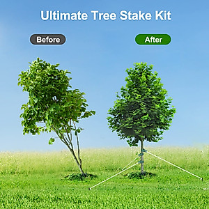 Jevrench Tree Stake Kits, Heavy Duty Tree Stakes and Supports Kits for Young Trees Against Bad Weather, 3 Pcs Tree Stake, 3 Pcs Tree Straps, 32.8 FT Rope