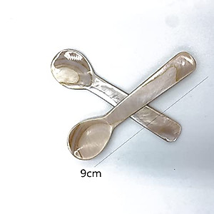 EvaGO Handmade Caviar Spoons Mother of Pearl MOP Caviar Spoon W Round Handle 3.55 inch, 2 pack