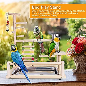 RoseFlower Parrots Bird Wooden Playstand, Birdcage Playground Play Gym Parakeet Playpen Ladder with Feeder Cup and Tray, Bird Toys Swing Exercise Toy #4