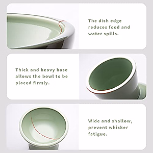 CEEFU Extra Wide Elevated Cat Bowls - Ceramic Cat Food Bowl 6.2" Raised Cat Food Bowls Elevated Shallow Cat Food Dish, Whisker Fatigue, Lead & Cadmium Free, 5" Good Height for Cat Feeding, Green