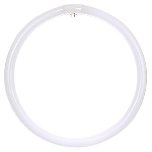 Sunlite 41315 FC12T9/CW T9 Round Fluorescent Circline Lamp, 32 Watts, 2100 Lumens, 4100K Cool White, RoHS Compliant, G10Q 4-Pin Base, 1 Pack