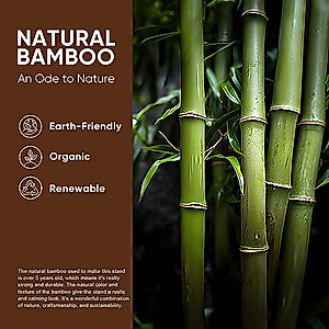 MUDEELA 2 Pack Indoor Plant Stands, 2 Tier Tall Plant Stand 30 inches, Mid Century Bamboo Plant Stand, Adjustable Width 8 - 12 inches, Fits Pot Size of 8 9 10 11 12 inches, Pot & Plant Not Included, Brown