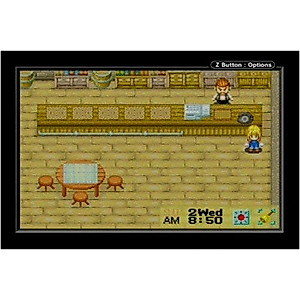 Harvest Moon More Friends of Mineral Town (Renewed)