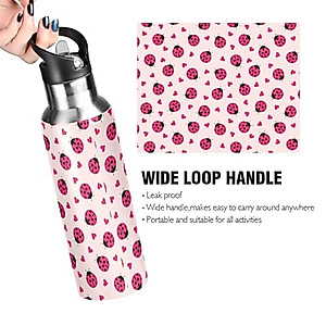 Cute Ladybugs and Hearts Insulated Water Bottle with Straw, Stainless Steel Sports Water Bottles, Double Wall Vacuum, Leakproof, BPA-Free 20 oz