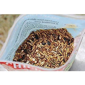 LITTLE FARMER PRODUCTS Chicken Fun-DOO Non-GMO, Soy-Free Chicken Treat | Premium Poultry Meal Worm, Vegetable & Herb Mix (3 lbs)