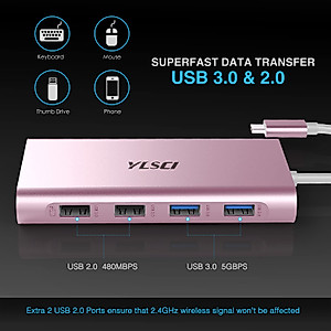 YLSCI USB C HUB, 11 in 1 Docking Station USB C Adapter, 2 x USB 2.0, 2 x USB 3.0, USB C, HDMI, VGA, RJ45, SD/TF Karteleser und Audio, rosa Gold