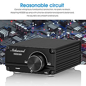 Nobsound 100W Subwoofer Amplifier Digital Power Sub Amp Audio Mini Bass Amp with Power Supply (Black)