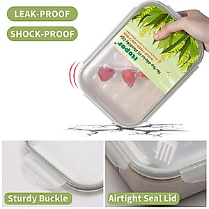 Bento Box,Bento Lunch Box for Kids and Adults, Leakproof Lunch Containers with 3 Compartments, Lunch box Made by Wheat Fiber Material(White) By Itopor