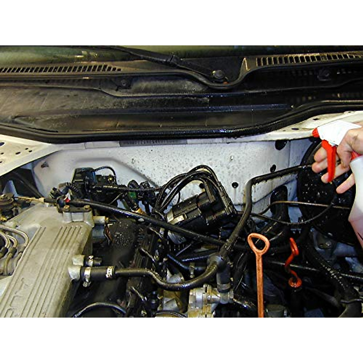 nextzett 90140515 W99 Industry Cleaner Degreaser Concentrate - 33.8 fl oz, Orange