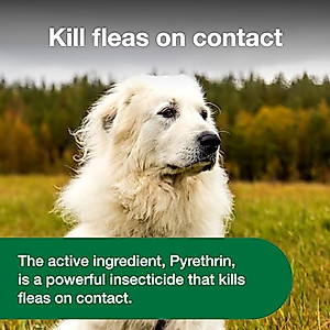 Advantage Dog Flea Treatment Spray | Kills Fleas & Ticks | Dog Flea Spray | 8 oz.