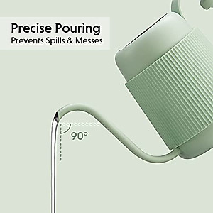 BUYDEEM CD2006B Portable Pour Over Gooseneck Coffee Kettle and Maker, Durable Pro 18/8 Pro Stainless Steel with Silicone Protection for Better Coffee Brewing, 330ml (Cozy Greenish)