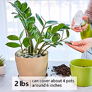 YISZM 2 LB Succulent and Cactus Jade Pebbles, 3/8 Inch Natural Decorative Polished Stones, River Rocks for for Indoor Plants, Vases, Planters and Outdoor Gardening