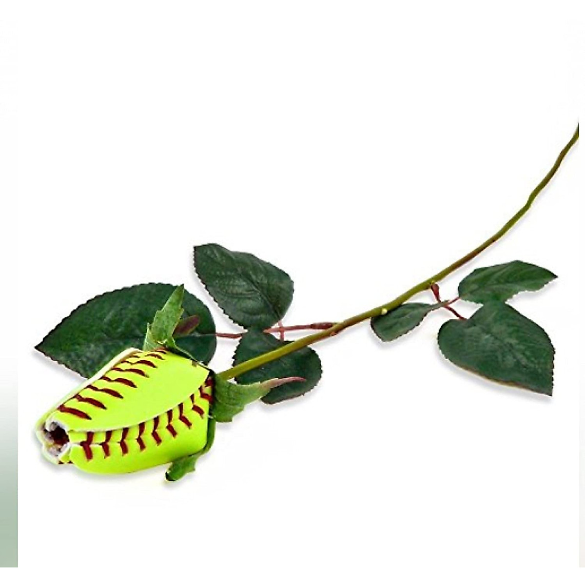Kenz Laurenz Softball Rose - Sports Roses Flowers Softball Gifts for Girls Mom Coach Team Players Dad Fathers Day (Softball Rose)