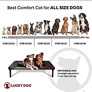 Lucky Dog 36'' Elevated Pet Bed Cot | Indoor & Outdoor Use | Gray