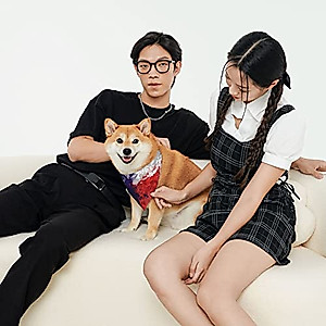 Texas Flag Artwork Reversible Triangle Dog Bandanas, Bibs Scarf Accessories for Pets Dogs Cats Holiday Decor