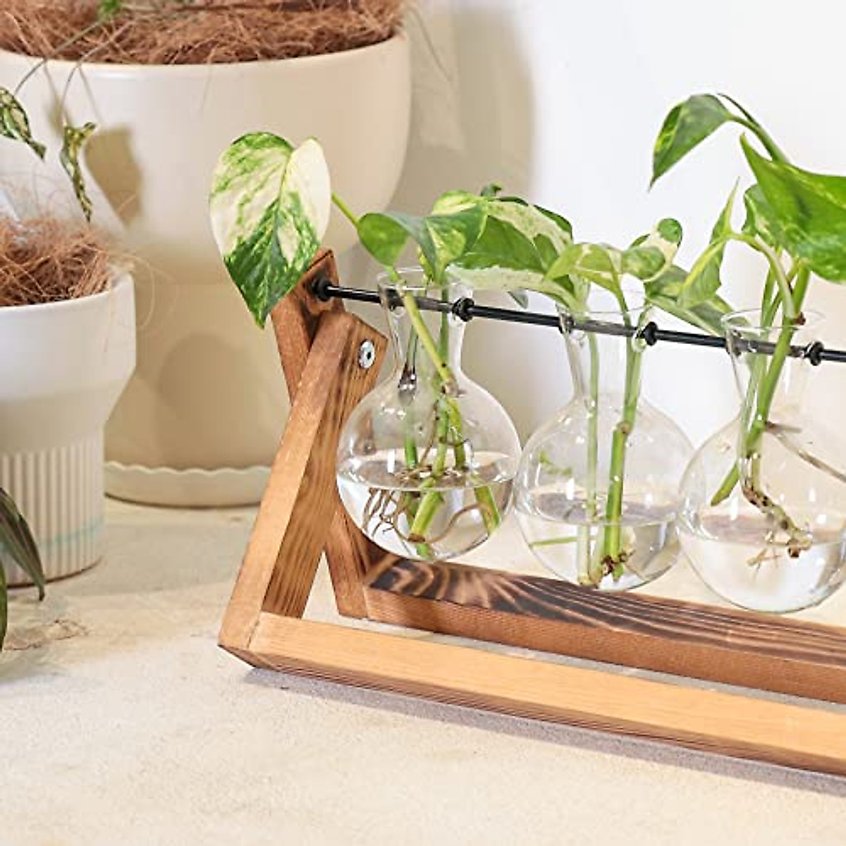 Ivolador Desktop Glass Bulb Plant Terrarium with Retro Solid Wooden Stand and Metal Swivel Holder for Hydroponics Plants Home Garden Wedding Decor (5 Bulbs)