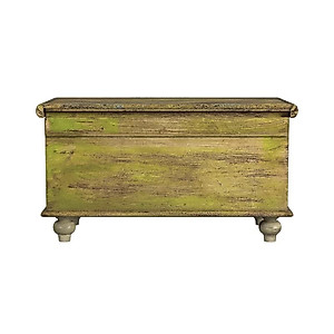 Beaumont Lane Rustic Mango Wood Trunk Coffee Table in Oak Brown