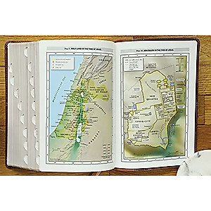 NIV, Life Application Study Bible, Third Edition, Leathersoft, Brown, Red Letter, Thumb Indexed