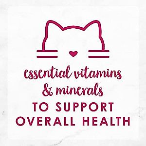 Fancy Feast Purina Delights with Cheddar Grilled Chicken & Cheddar Cheese Feast in Gravy (12-CANS) (3 OZ Each)