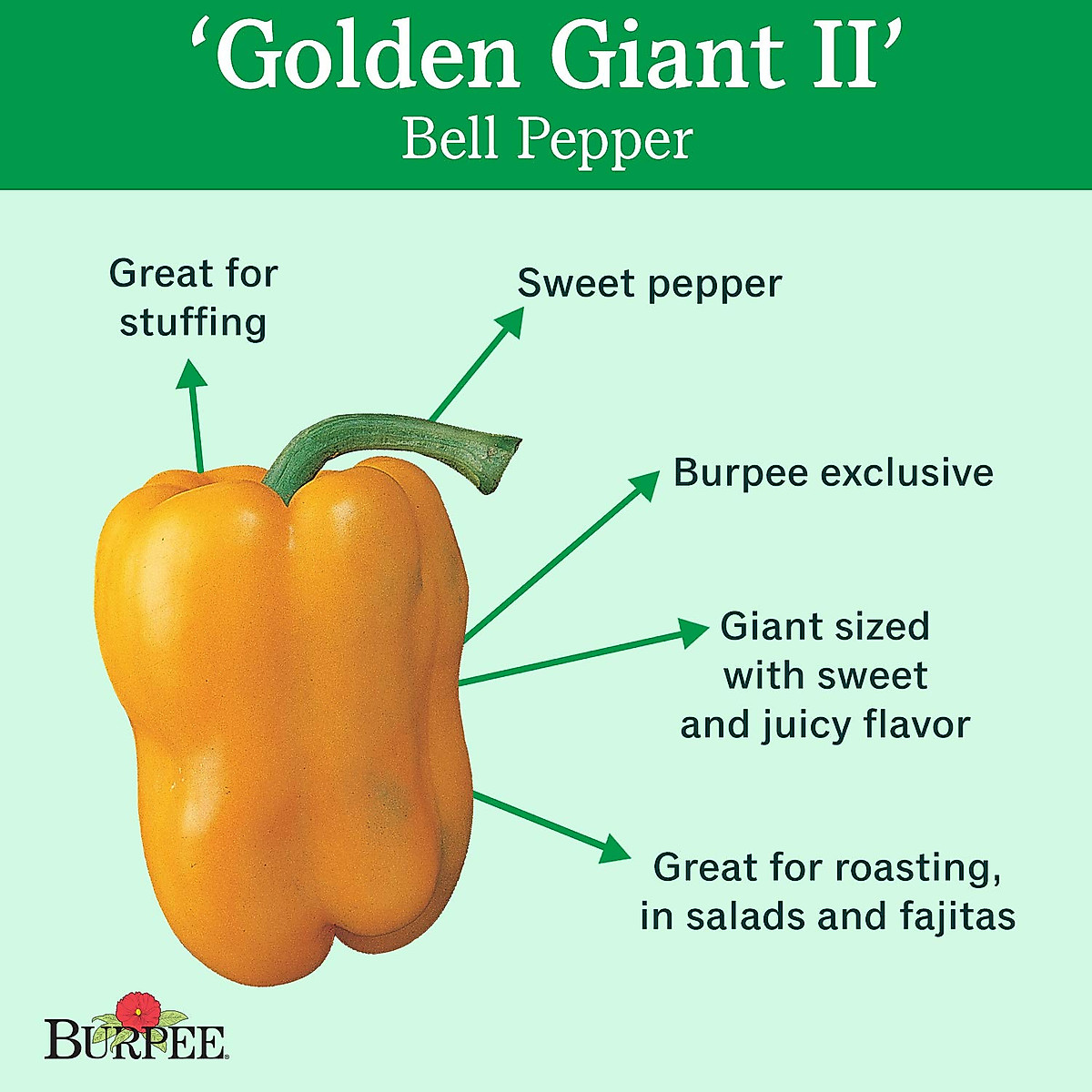 Burpee Golden Giant II Sweet Pepper Seeds 30 seeds