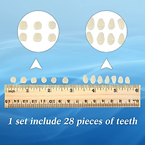 BBTO 6 Sets Acrylic Resin Fake Teeth artificial teeth Denture Replacement tooth prop Synthetic Resin Denture for Replacement, 112 Pieces, 23 A2