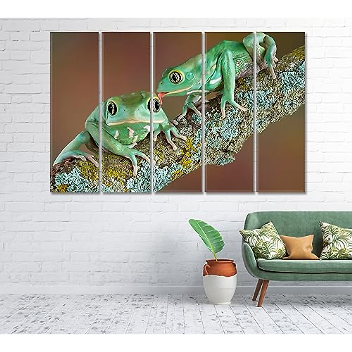Pair of Wax Frogs Canvas Print 5 Panels / 36x24 inches