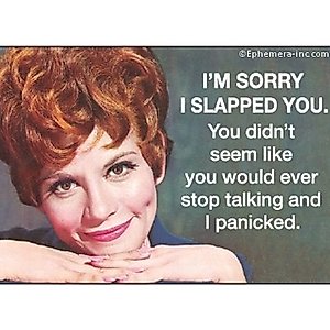 I'm sorry I slapped you. You didn't seem like you would ever stop talking and I panicked. Rectangular Magnet