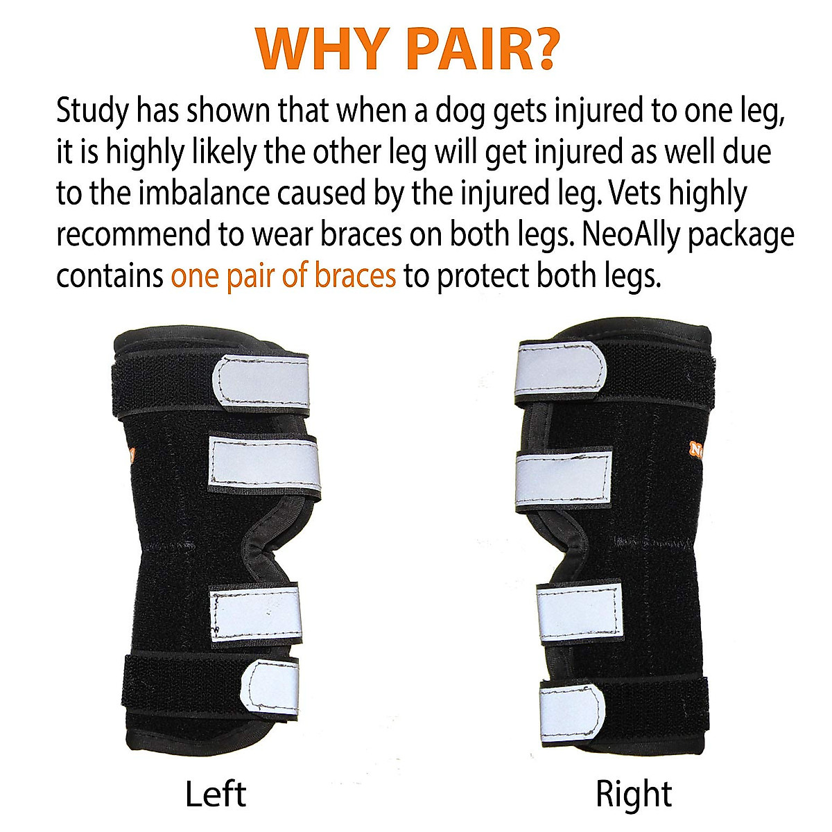 NeoAlly Dog Canine Braces for Rear Legs Super Supportive with Dual Metal Spring Inserts to Stabilize Dog Hind Legs, Help Dogs with Injuries, Sprains, Arthritis, ACL (L Pair)