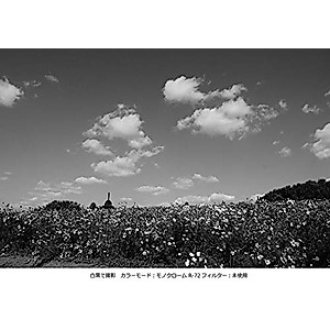 Kenko 55mm PRO1D R72 Digital-Multi-Coated Camera Lens Filters