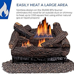 Duluth Forge DLS-18R-2 Dual Fuel Ventless Fireplace Logs Set with Remote Control, Use with Natural Gas or Liquid Propane, 30000 BTU, Heats up to 1000 Sq. Ft, Stacked Red Oak, 18 Inches
