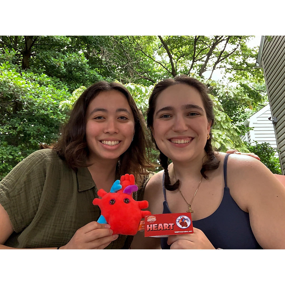 GIANTmicrobes Heart Plush, Heart Stuffed Animal, Heart Transplant Gifts, Heart Toy, Anatomical Heart Gifts, Cardiologist Gifts, Cardiology Gifts, Open Heart Surgery Gifts, Heart Attack Survivor Gifts