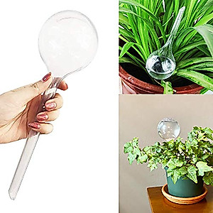 Jnynhha 6PCS Clear Plant Watering Bulbs,Automatic Watering Globes,Plastic Self Watering Bulbs Ball for Plant,Garden,Indoor Outdoor Decoration