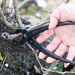 Wazakura Hanafubuki Hand Forged Bonsai Tree Trunk Splitter, Made in Japan 8.25inch(210mm), Branch Cutter Japanese Garden Tool - 8.25inch(210mm), Black