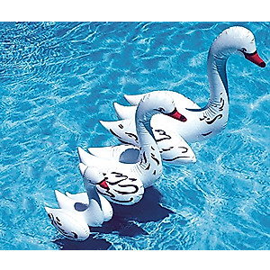 Poolmaster 81411 Floating Swimming Pool Backyard Décor, 3 Pack, Swan Family