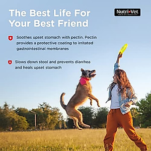 Nutri-Vet Anti-Diarrhea Liquid for Dogs - Helps Sooth Upset Stomach & Stop Diarrhea - Veterinarian Formulated - 4 oz